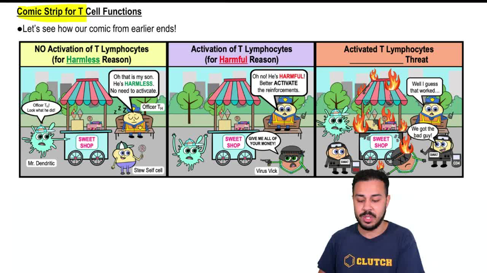 Dna Replication Comic Strip Comic Strip For Effects Of T Cell