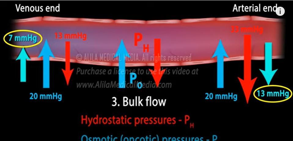 Hydrostatic Pressure Capillary