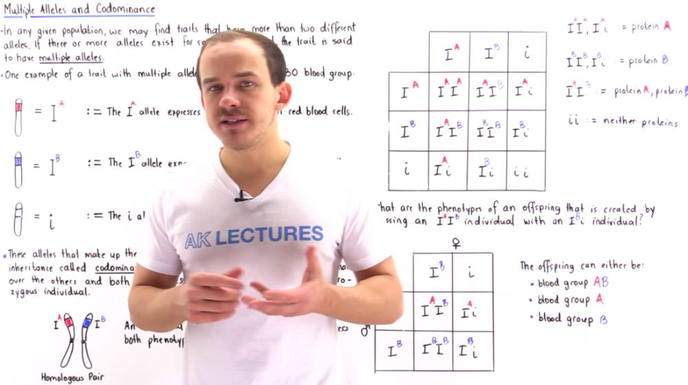 Multiple Alleles Examples