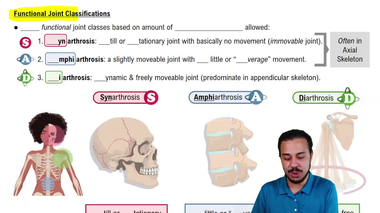 Types Of Diarthrosis Joints