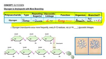 The storage form of carbohydrates in animals is: | Channels for Pearson+