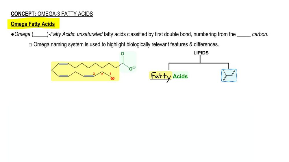 Omega 3 Fatty Acid Chain