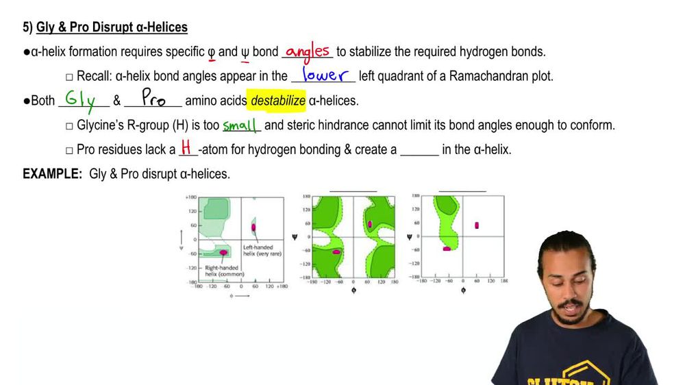 Alpha Helix Right Handed