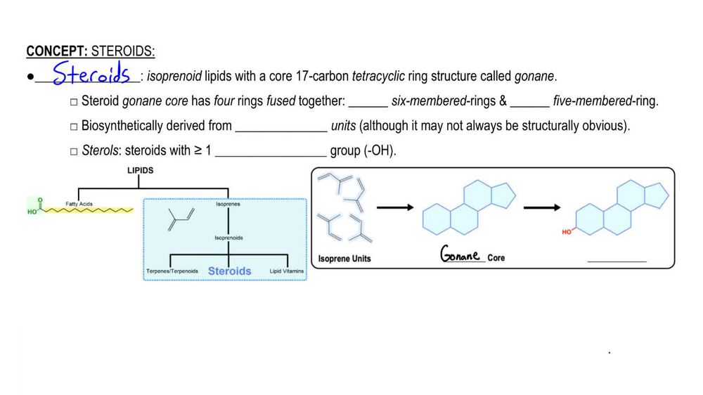 Steroid Lipid Structure