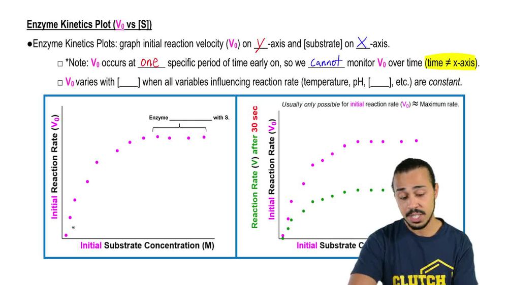 Enzyme Graph Time