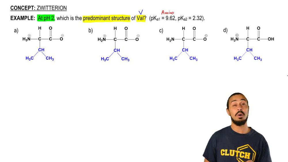 Glutamic Acid Zwitterion Structure