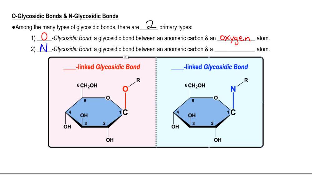 Glycosidic Bond Alpha Beta