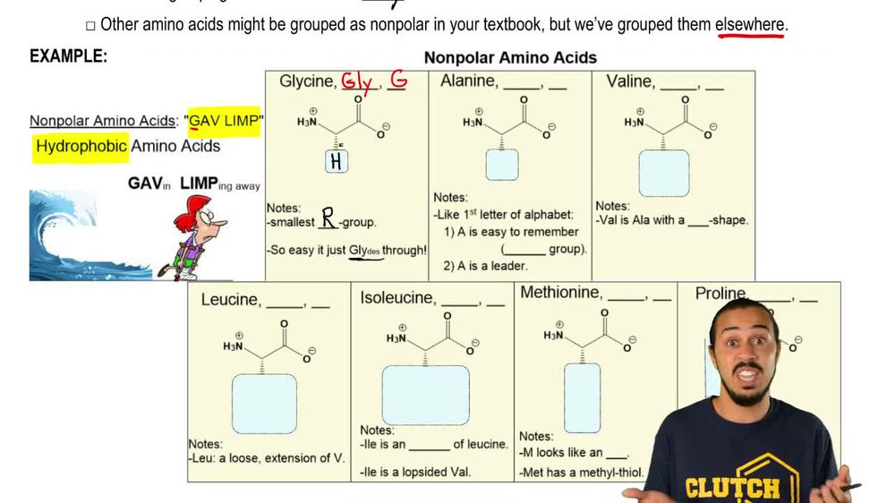 Essential Amino Acids Mnemonics Proteins