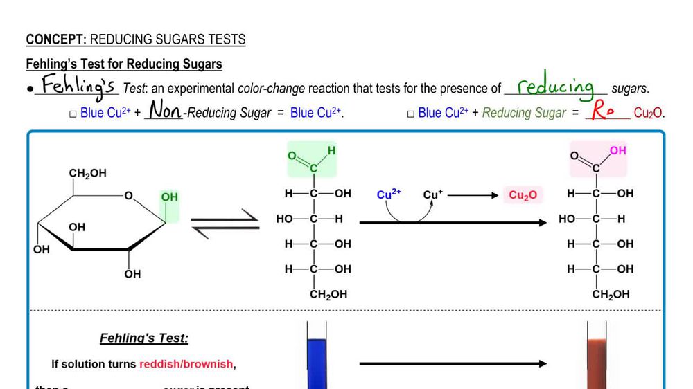 Sucrose Non Reducing Sugar