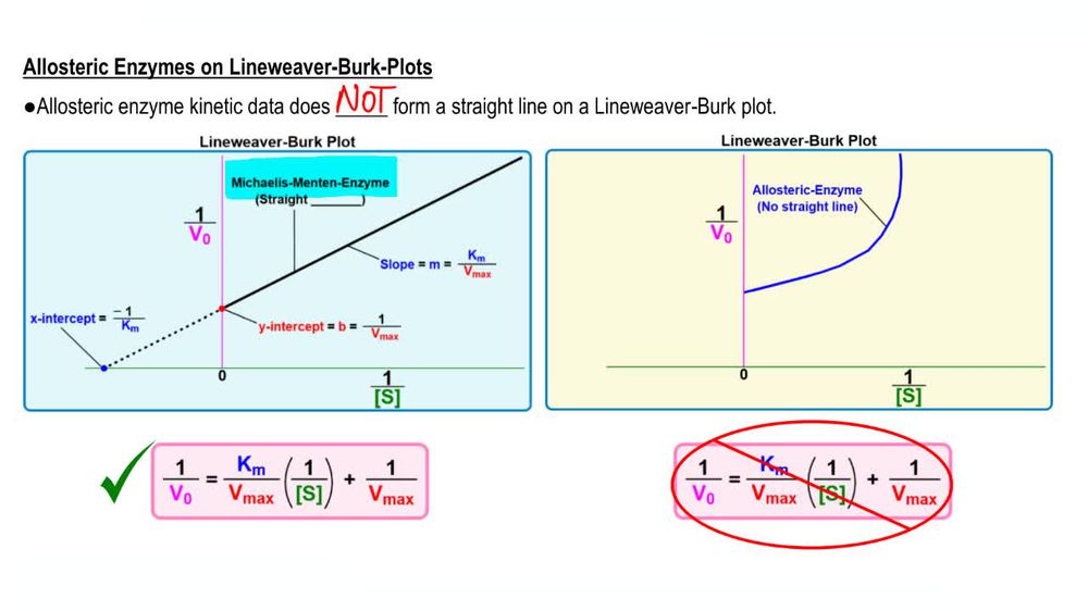 Allosteric Inhibition Graph