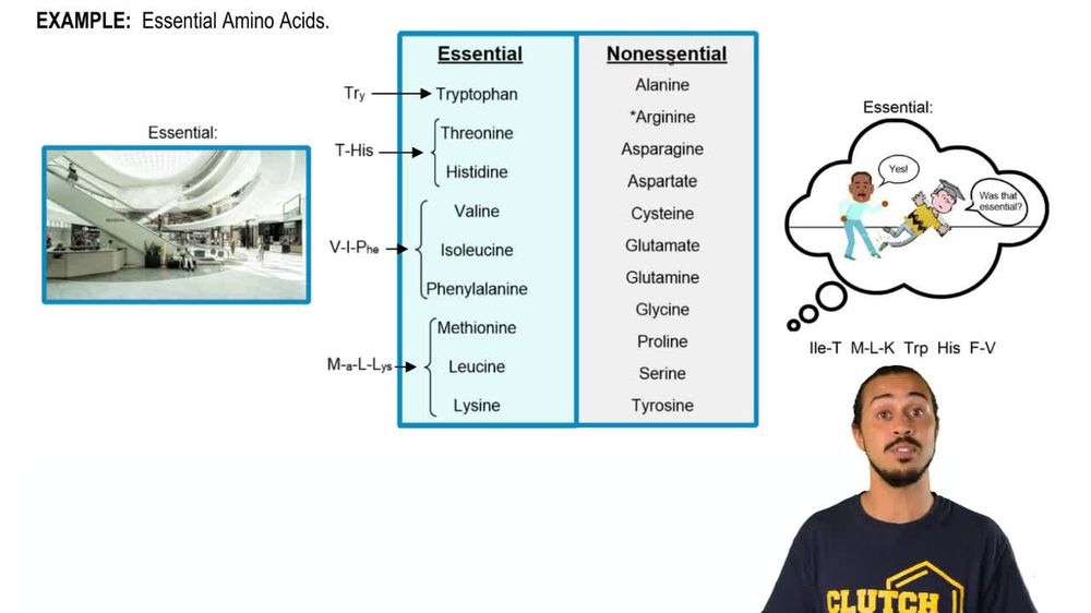 Essential Amino Acids Mnemonic Medicowesome: Amino Acids With