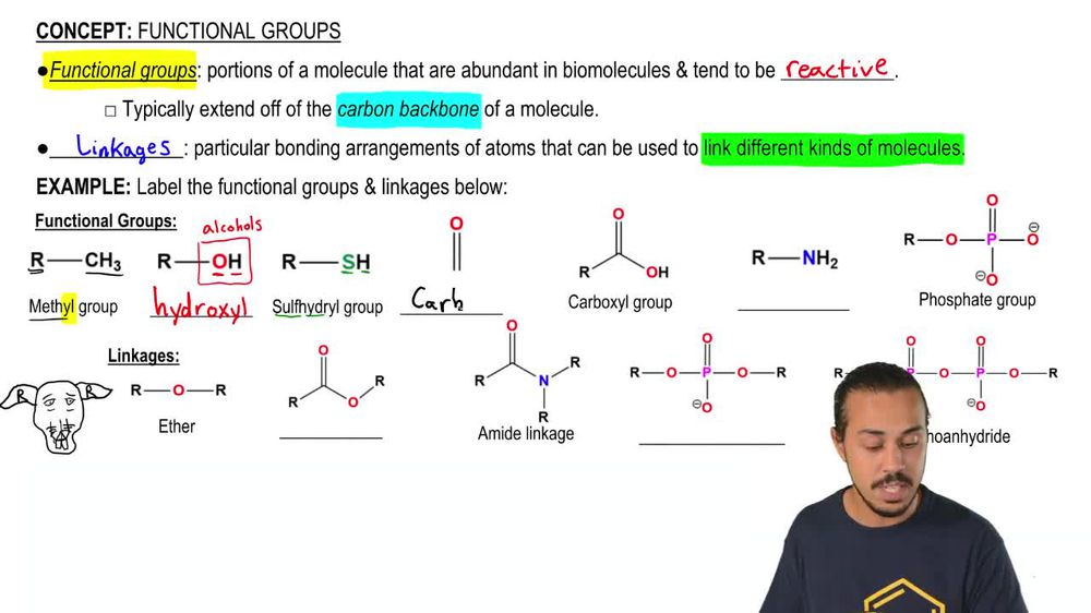 Phosphate Functional Group Example
