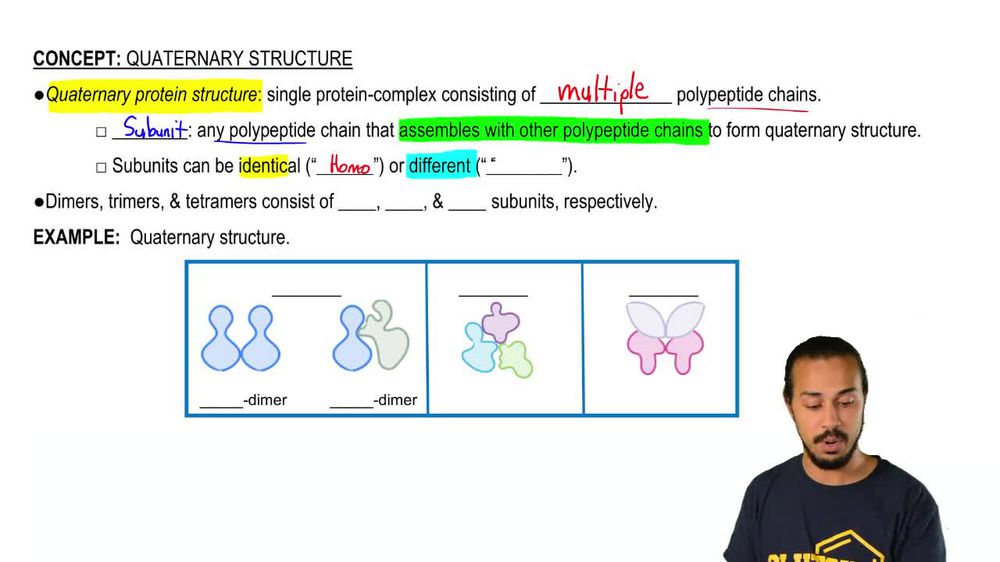 Quaternary Structure