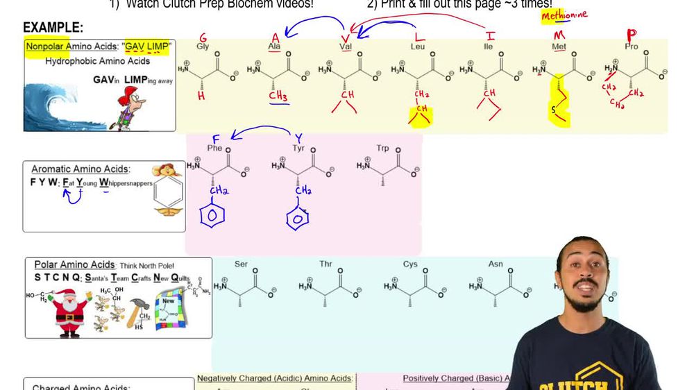 20 Amino Acids Memorize Solved 1. Use The Following Table To Learn The