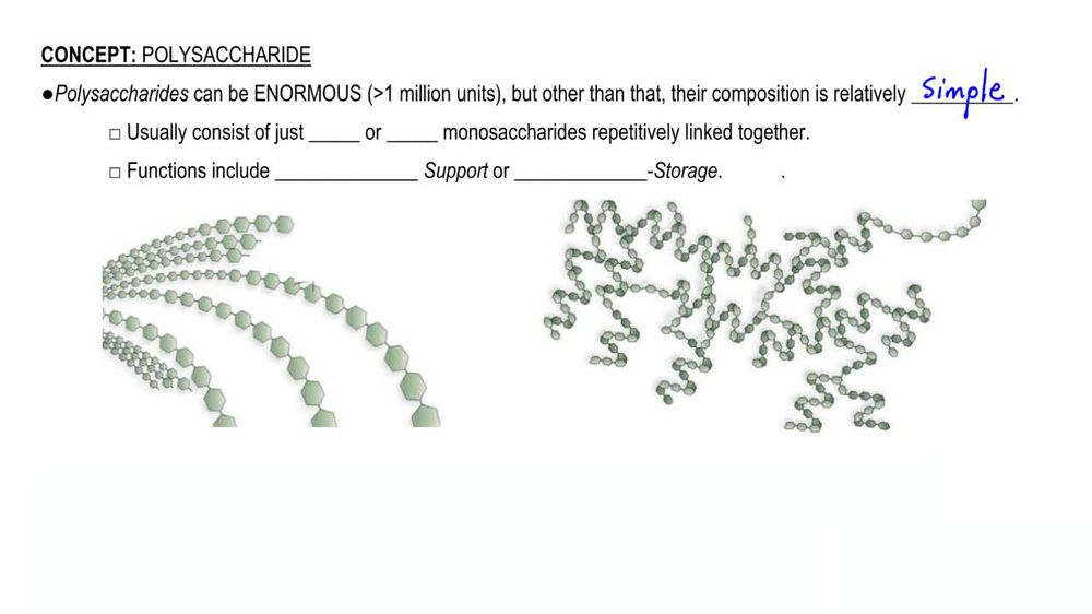 Simple Polysaccharide