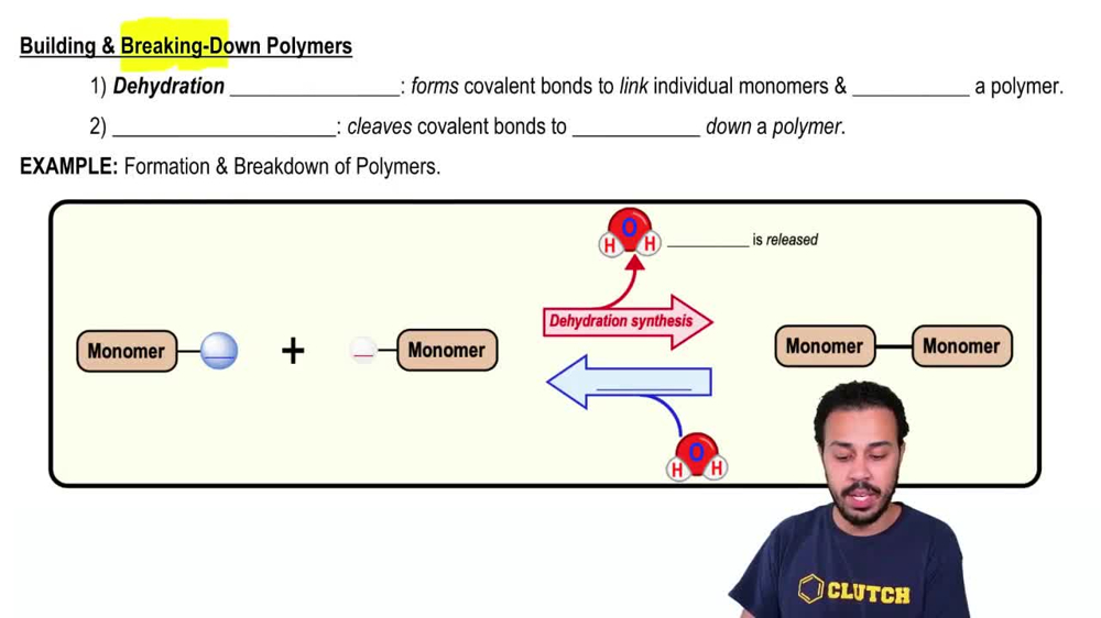 Polymers And Monomers Examples