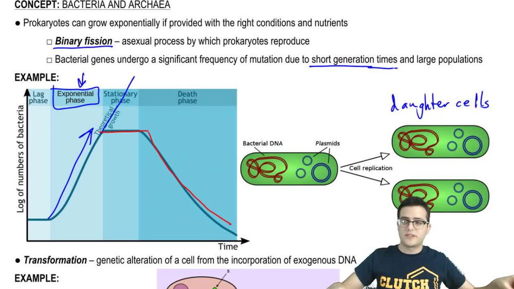 Prokaryotic Reproduction