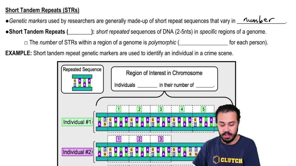 Short Tandem Repeats