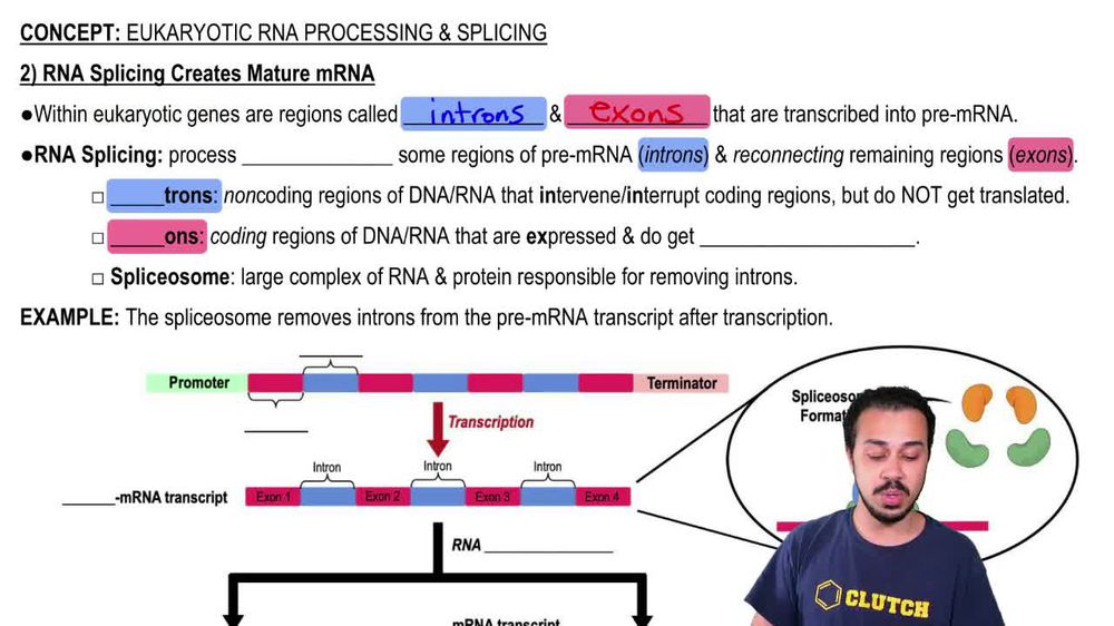 Rna Processing