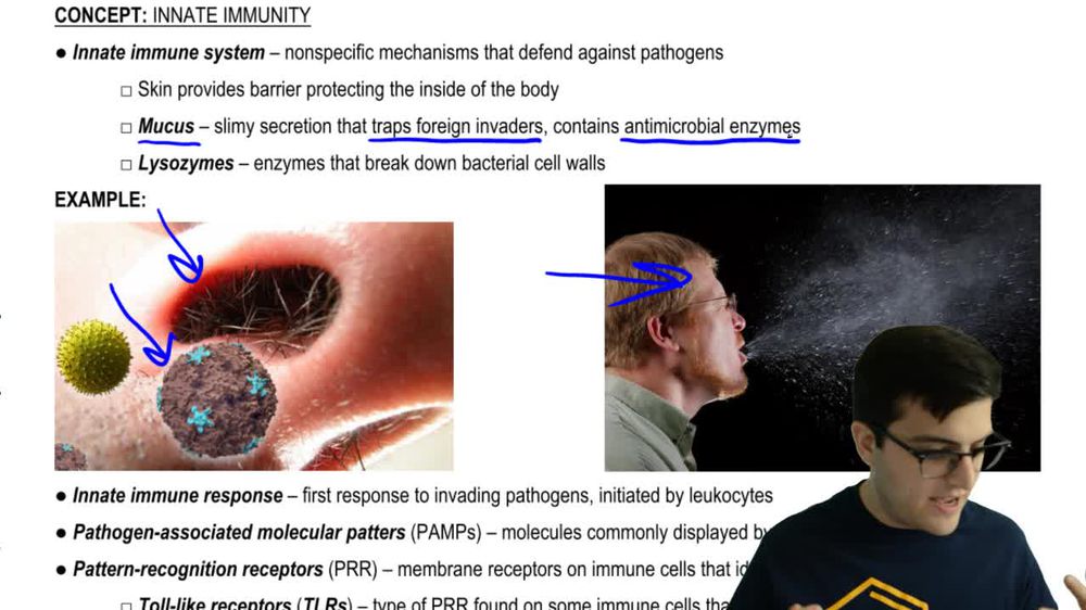 Innate Immunity Examples