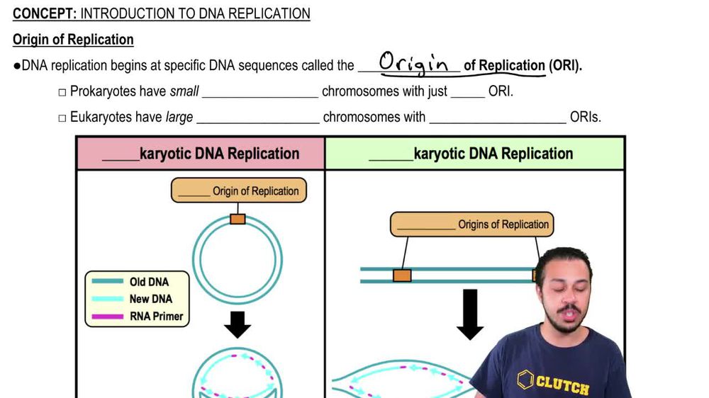 Origin Of Replication