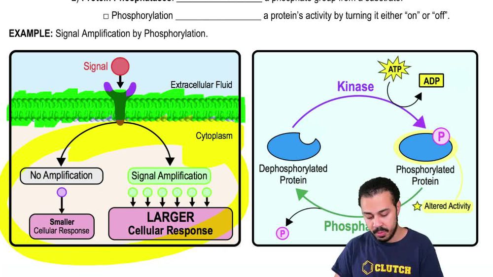 Cell Signal Amplification