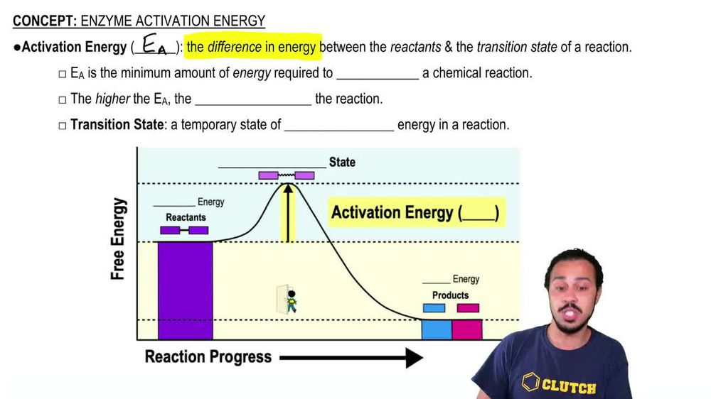 Enzyme Activation Energy Graph