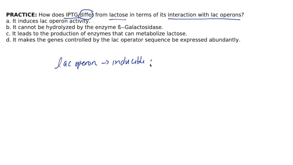 Lac Operon Iptg