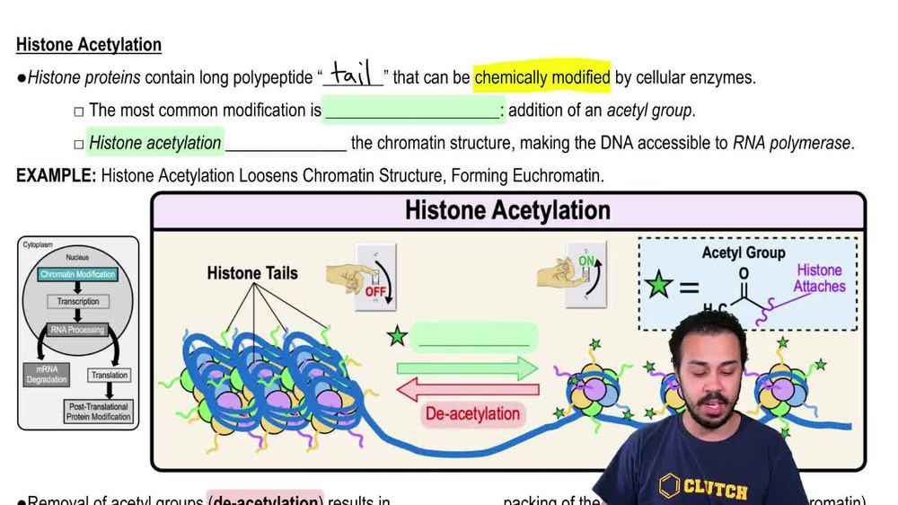 Histone Methylation Animation