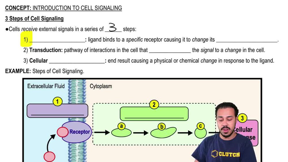 Cell Signaling Pathways Osmosis 10.2 Osmosis – College Biology I