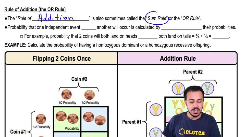 Homozygous Dominant Example
