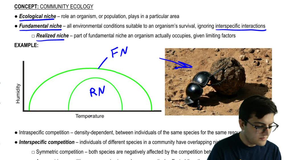 Niche Ecology Example
