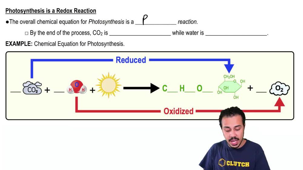 Chemical Formula For Photosynthesis