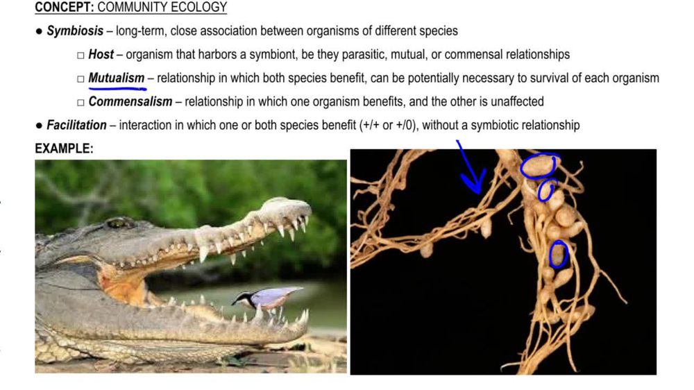 Commensalism Examples Biology
