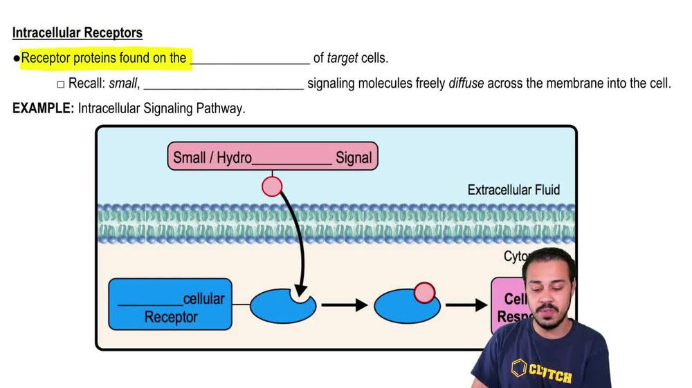 Cytoplasmic Receptors