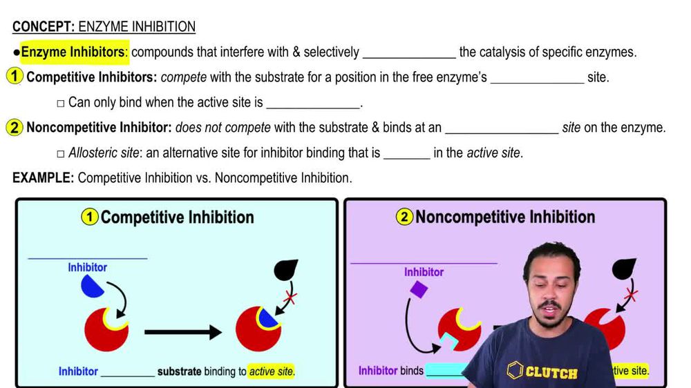 Noncompetitive Enzyme Inhibitors