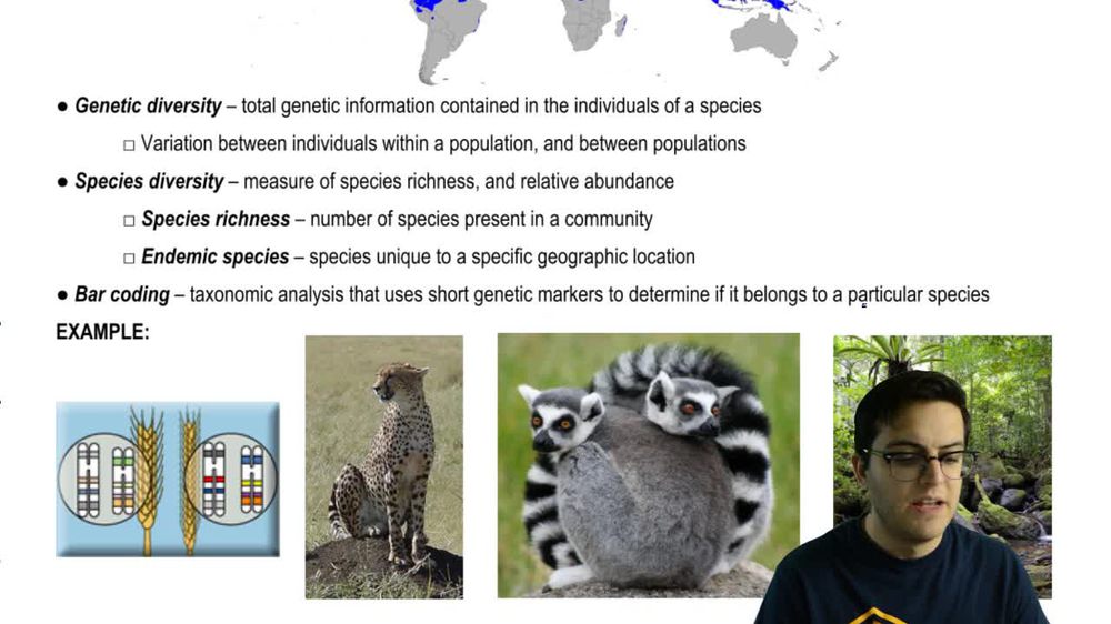 Variation In Species Examples