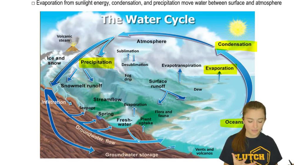 Water Cycle Biology