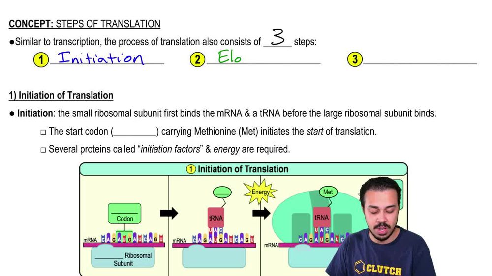 Translation Initiation
