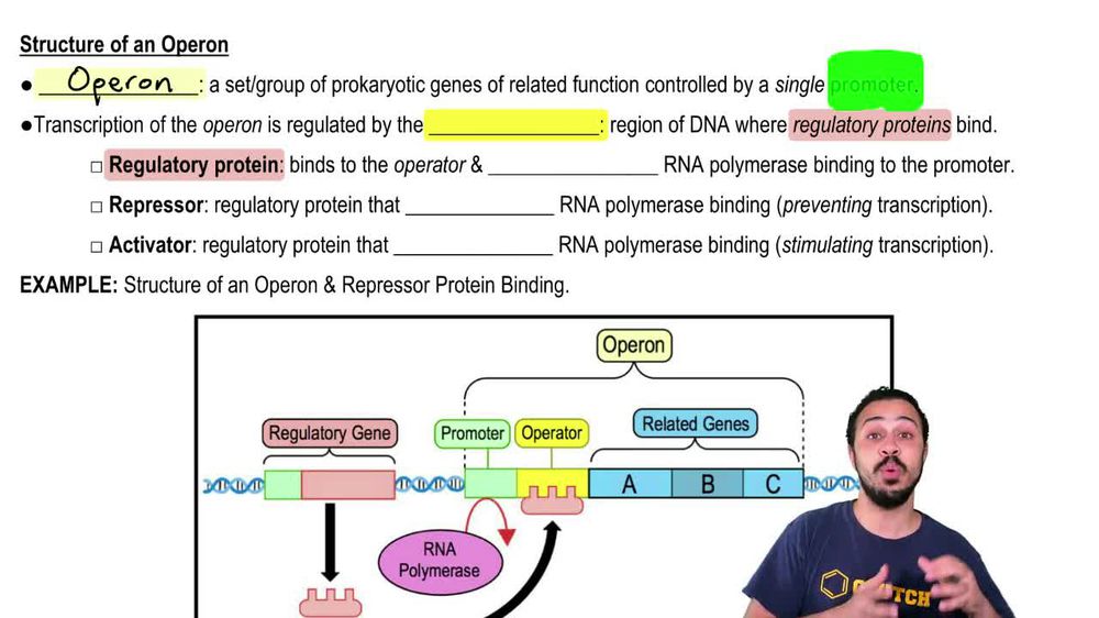 Simple Operon