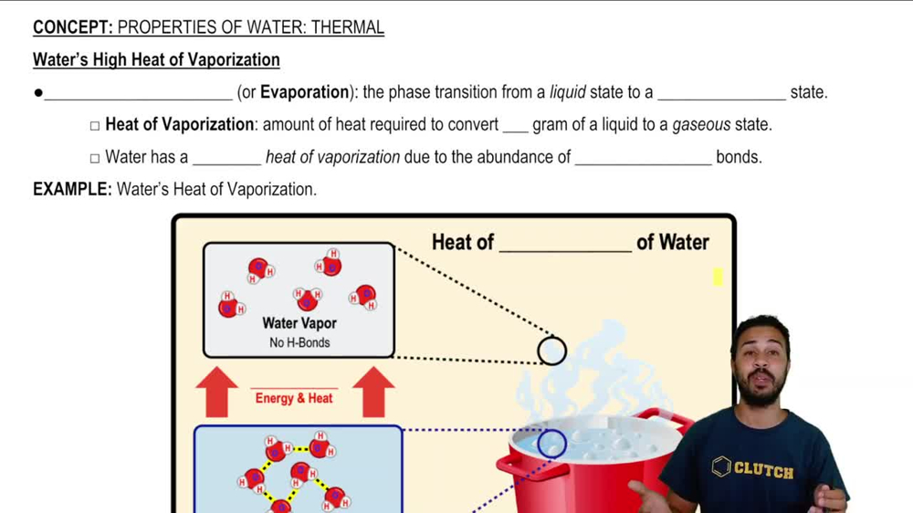 High Specific Heat Of Water