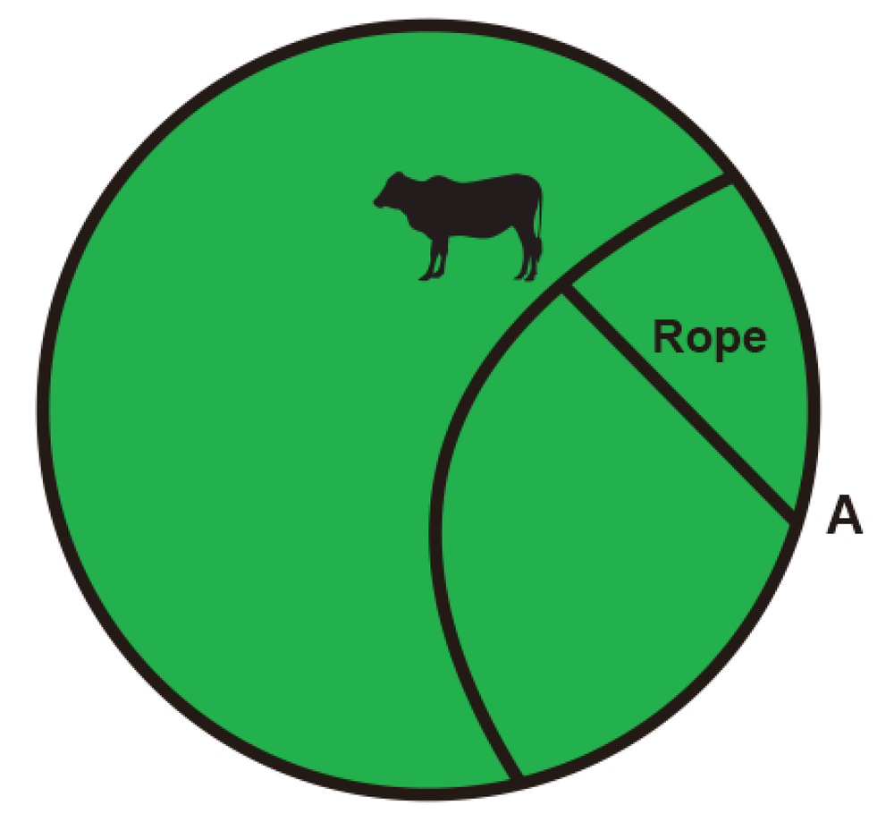 A circular corral has a radius of 33 meters. A cow is tied to a ...