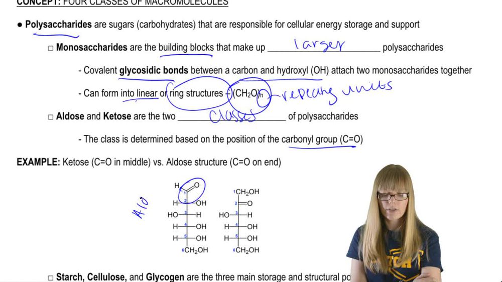 Four Macromolecules