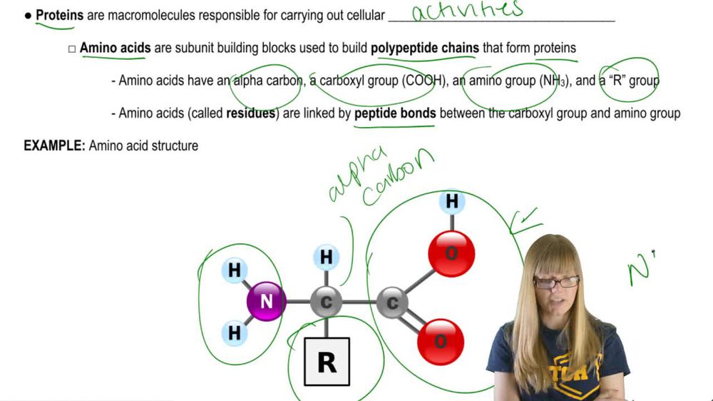 Four Macromolecules