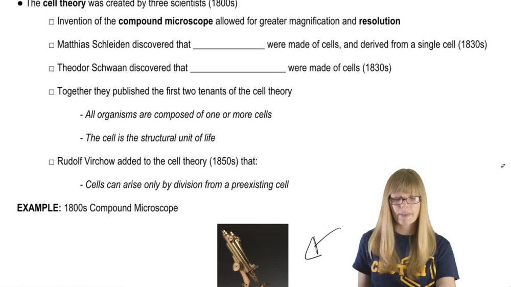 Cell Theory Example