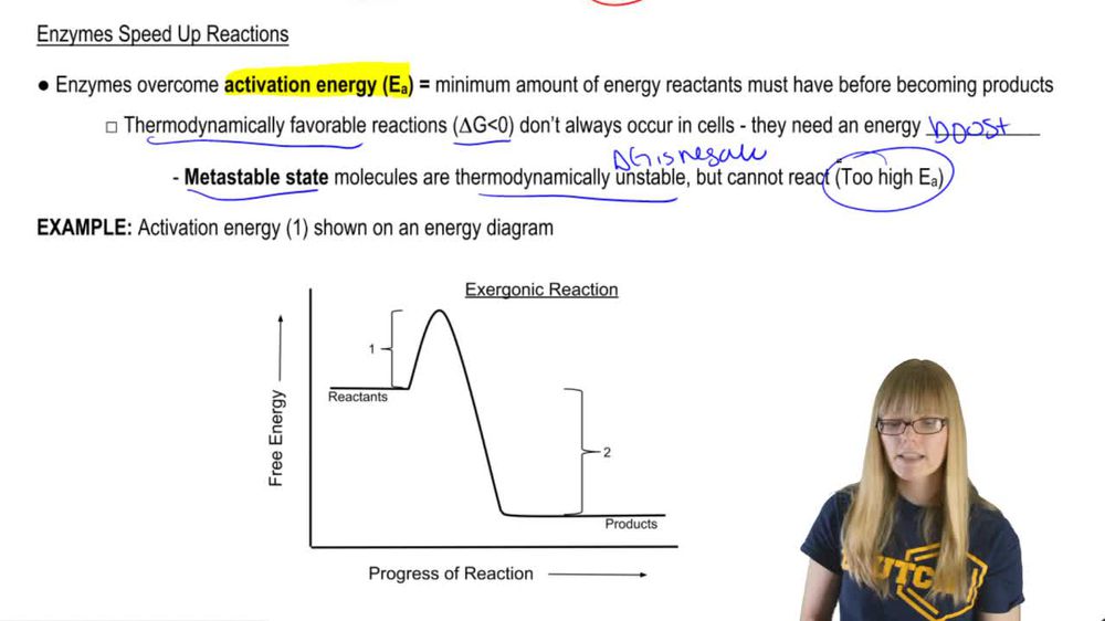 Activation Energy Examples