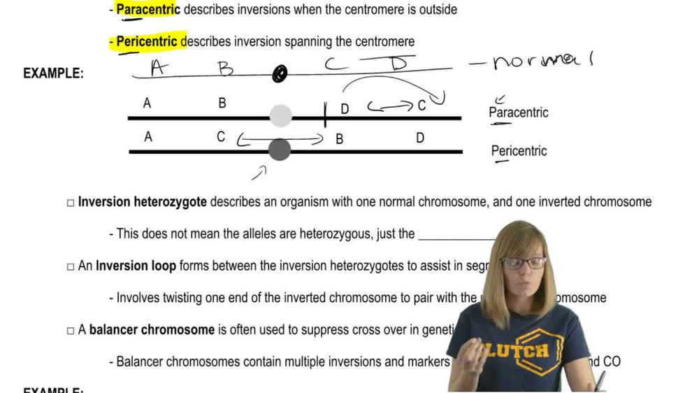 Paracentric Inversion