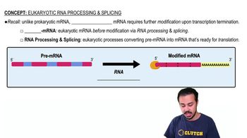 Eukaryotic RNA Processing and Splicing | Channels for Pearson+