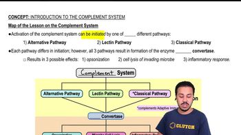Place the steps of the complement system in the correct order (Or ...