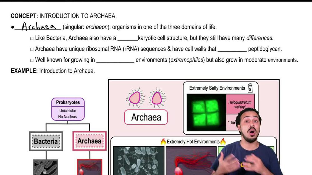 About Microbiology Archaea
